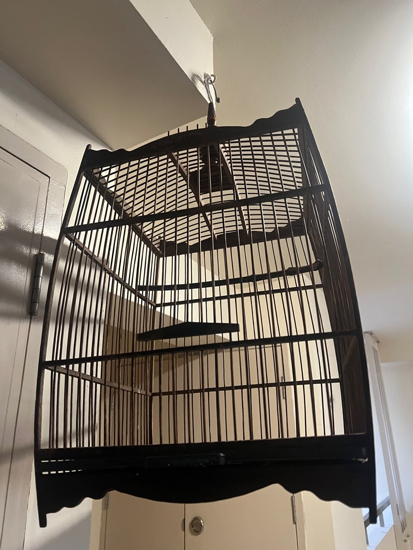 sq cage, Pet Supplies, Homes & Other Pet Accessories on Carousell