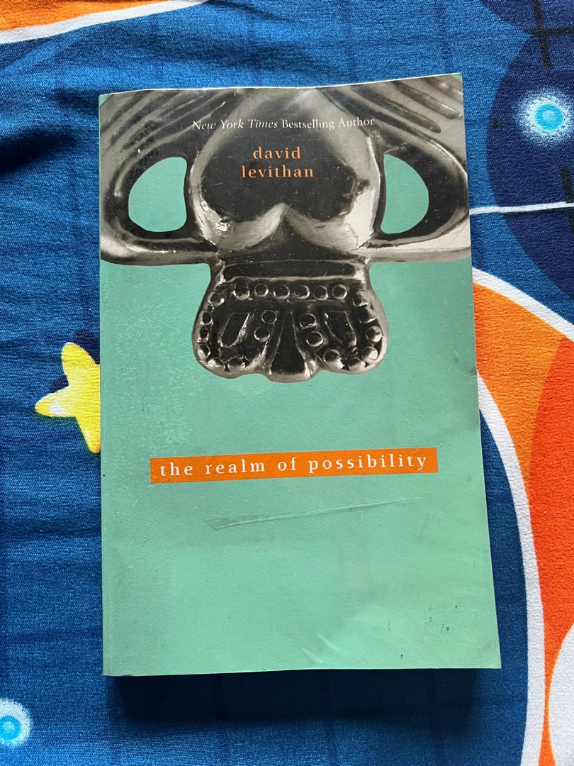 The Realm of Possibility by David Levithan, Hobbies & Toys, Books ...