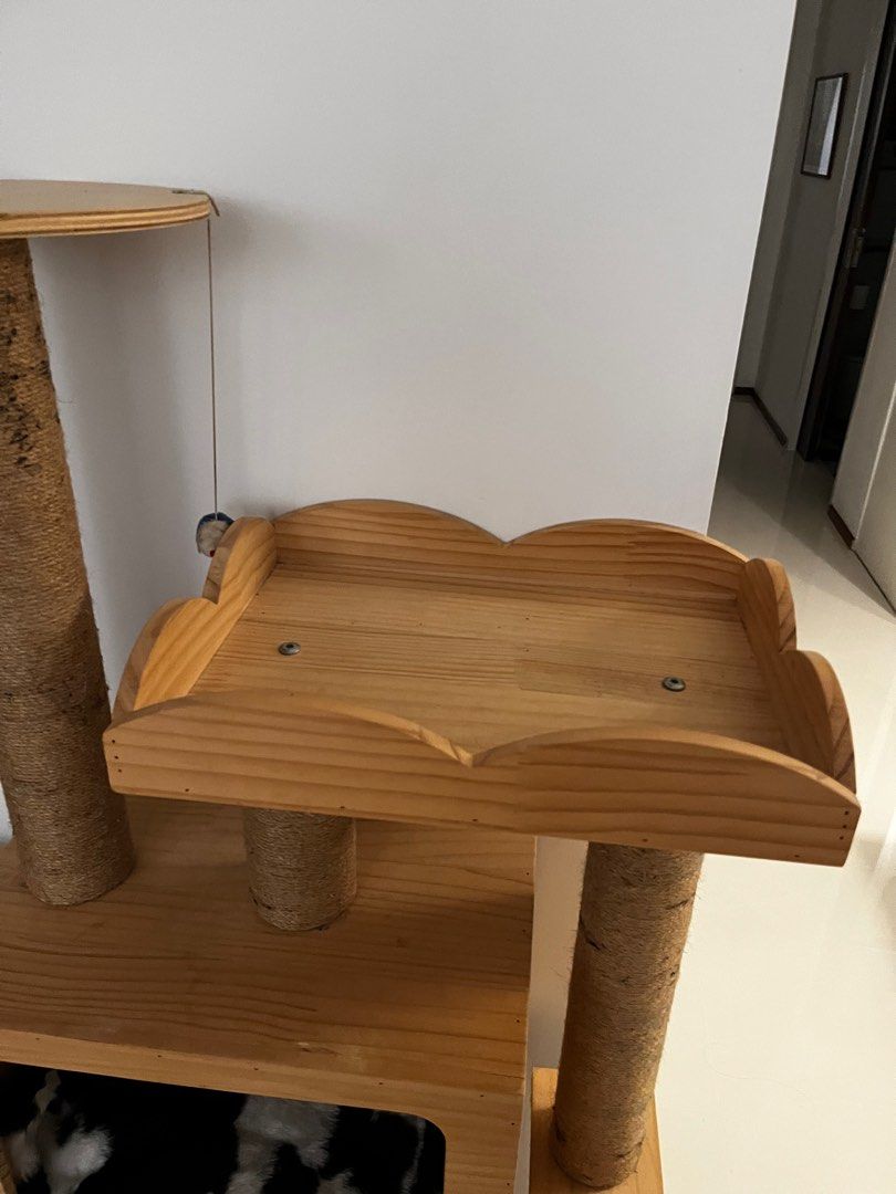 TV Box Design Wooden Cat Scratching Tree / Cat Condo, Pet Supplies ...