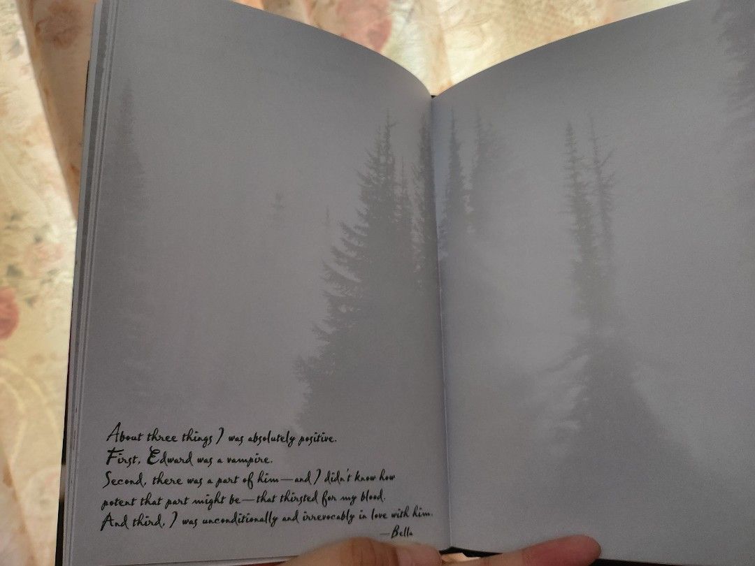 Twilight Journals Set, Hobbies & Toys, Memorabilia & Collectibles, Fan ...