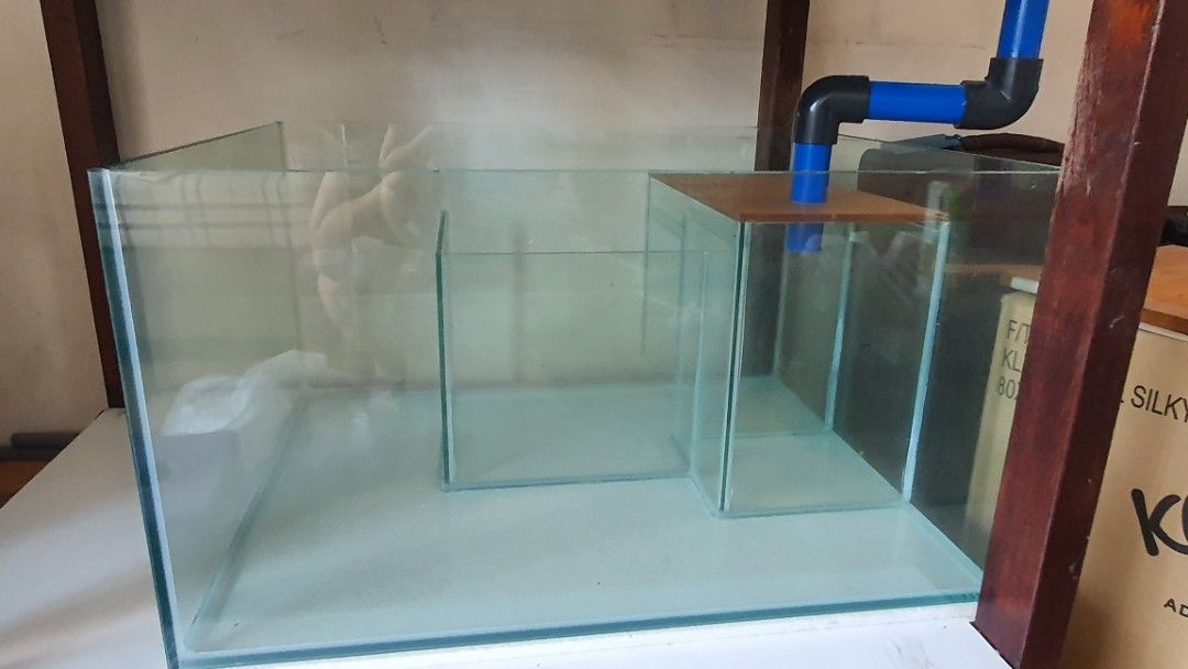 Ultrawhite Glass tank with Solid wood structure - fish / corals / etc ...