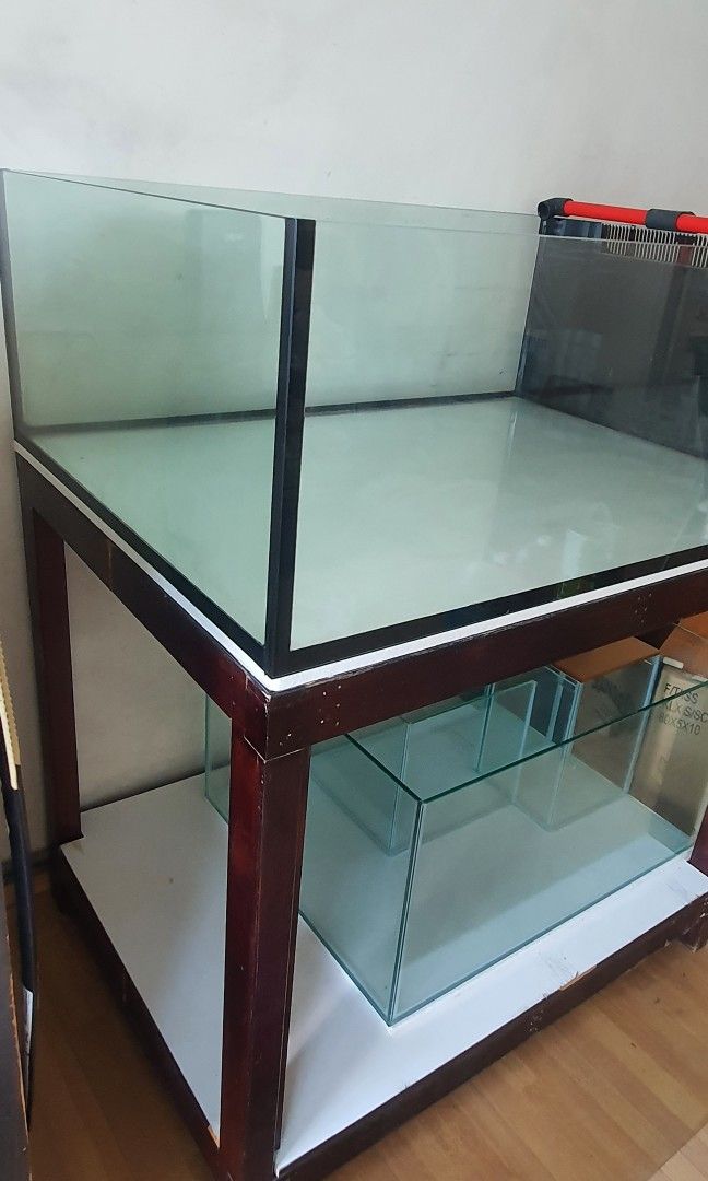 Ultrawhite Glass tank with Solid wood structure - fish / corals / etc ...