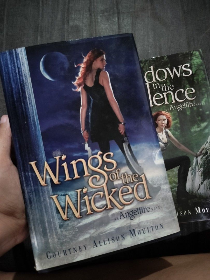 Wings of the Wicked & Shadows in the Silence Hardcovers, Hobbies & Toys ...