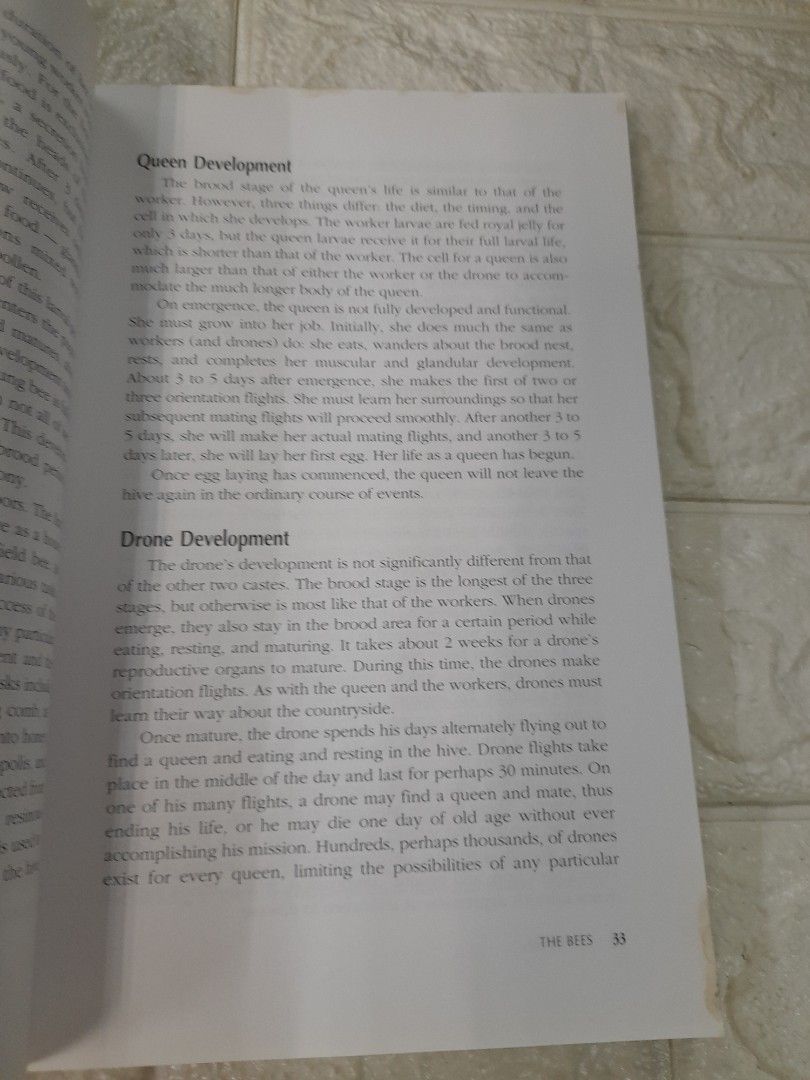 Beekeeping A Practical Guide Hobbies Toys Books Magazines