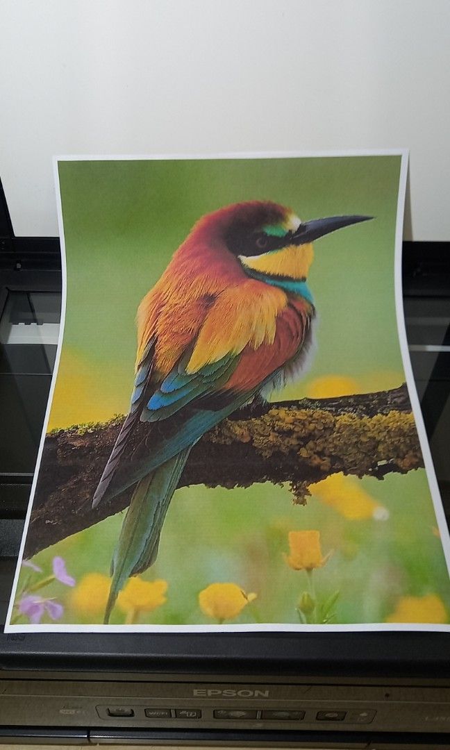 Epson Printer L355 Eco Tank (#E2), Computers & Tech, Printers, Scanners & Copiers on Carousell