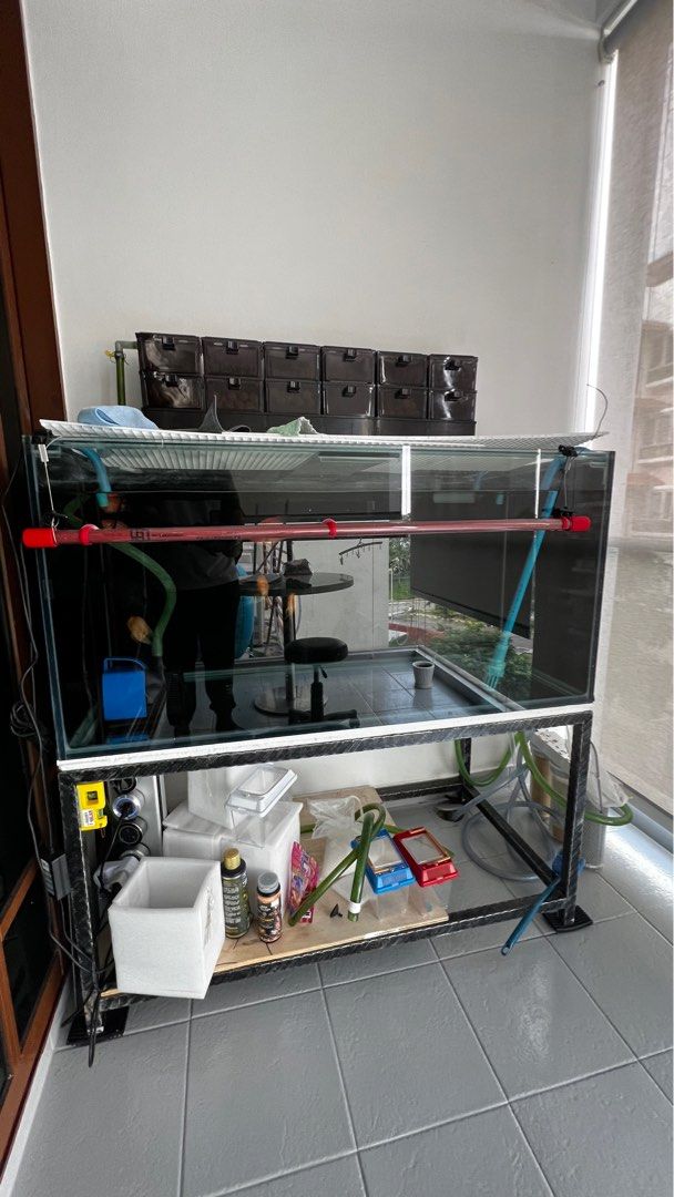 Fish tank and stand 4x2x2, Pet Supplies, Homes & Other Pet Accessories ...