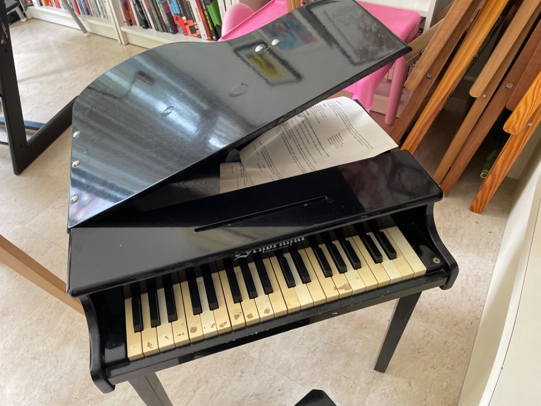 Grand piano for kids - Schoenhut, Hobbies & Toys, Music & Media ...