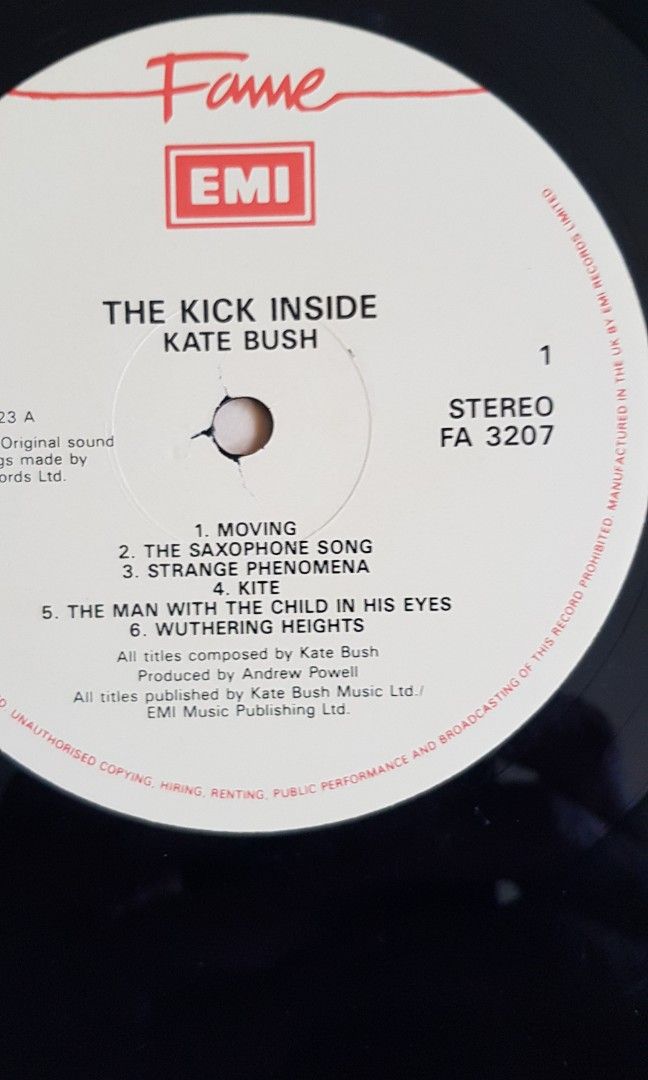 Kate Bush lp vinyl record, Hobbies & Toys, Music & Media, Vinyls on ...