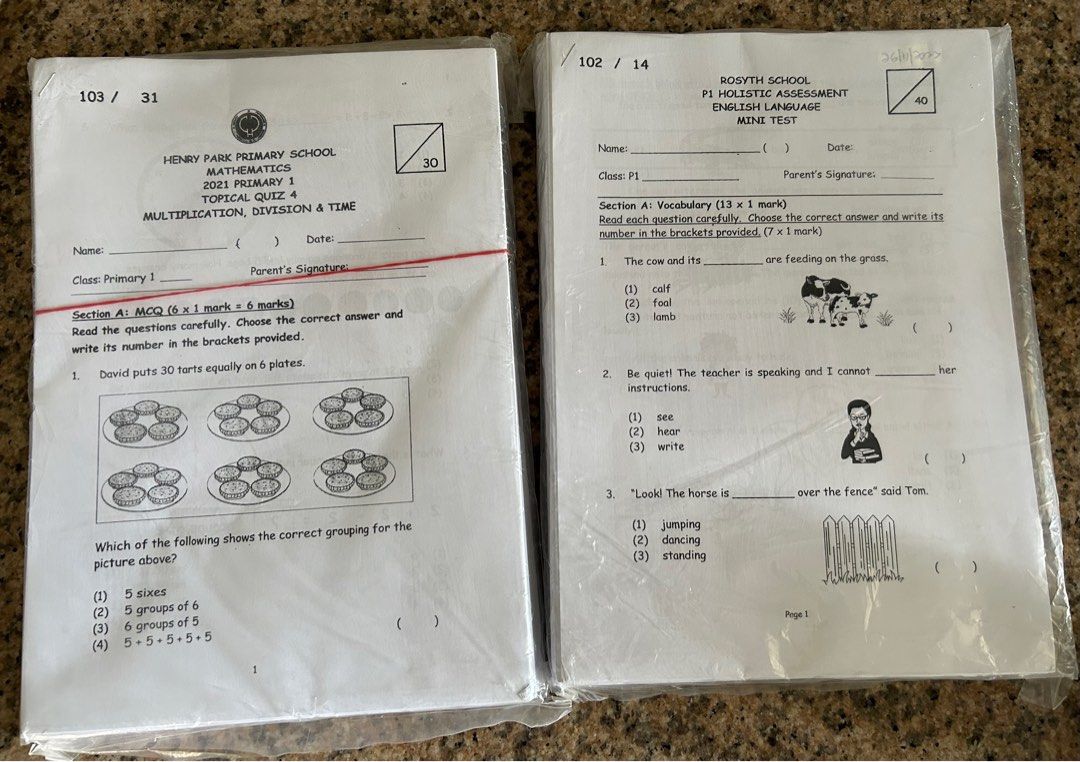 P1 test paper (English and Maths) 2019-2022, Hobbies & Toys, Books ...