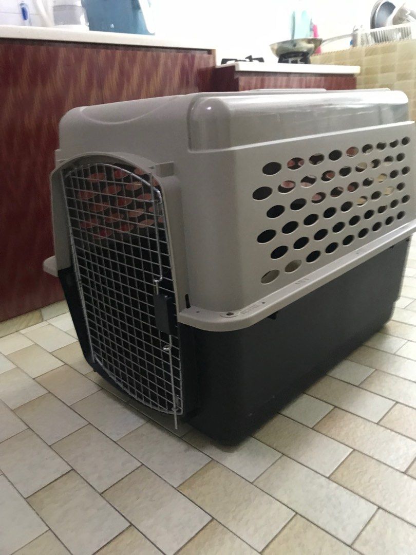 Petmate Vari KNL Dog Crate, Pet Supplies, Homes & Other Pet Accessories ...