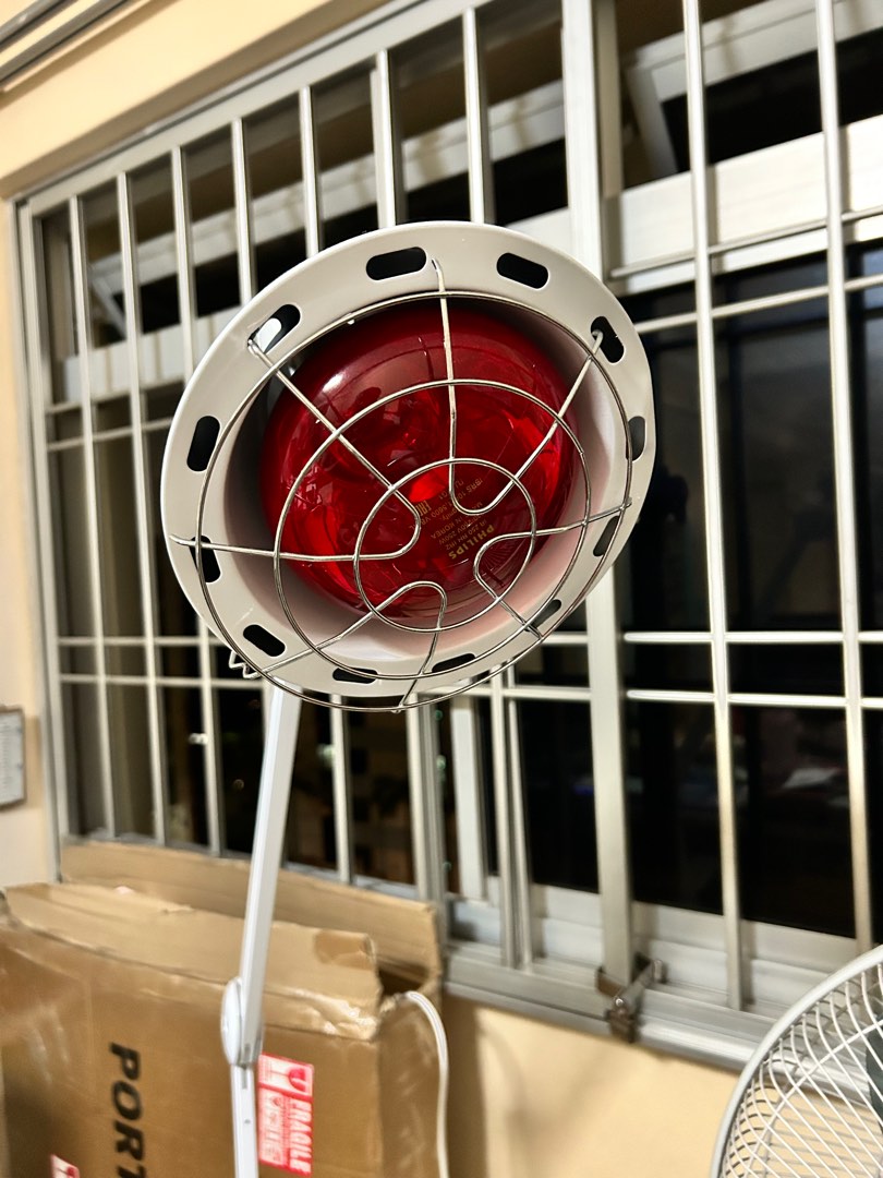 Philips far infrared therapy lamp with mobile stand, Health & Nutrition ...