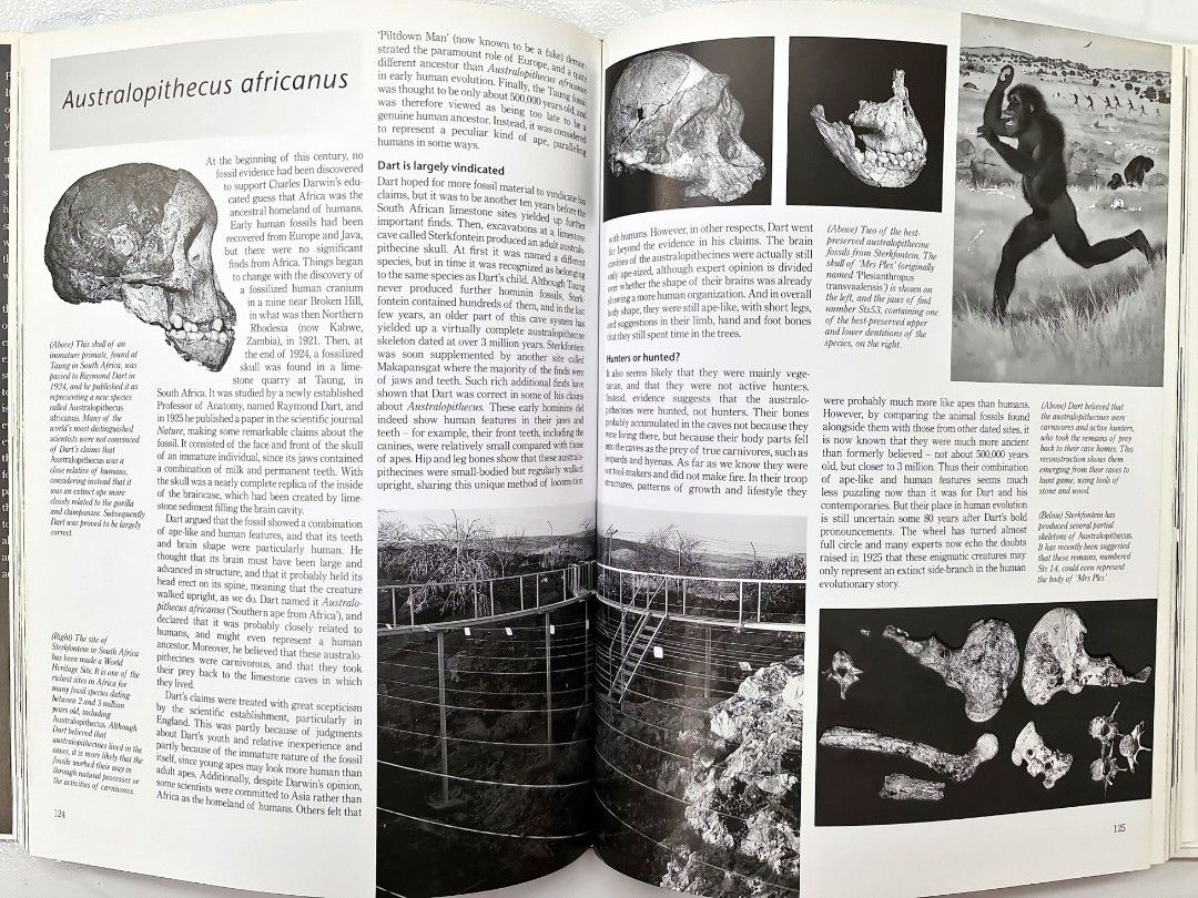 The Complete World of Human Evolution by Chris Stringer & Peter Andrews ...