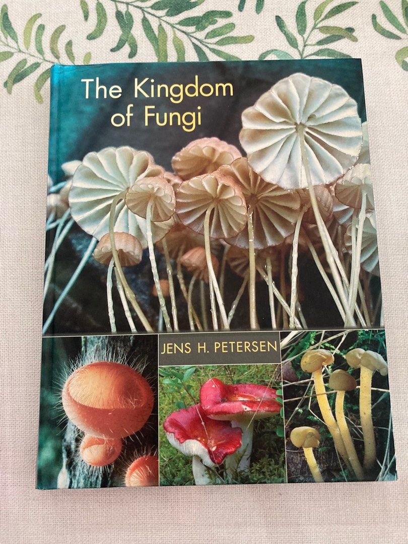 The Kingdom of Fungi, Hobbies & Toys, Books & Magazines, Fiction & Non ...