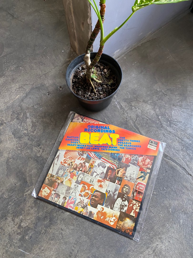 Vinyl/piringan hitam, Musik & Media, CD, DVD & Lainnya di Carousell