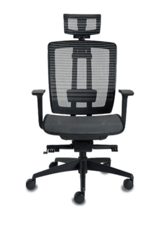 Benel Aeria Highback Ergonomic Chair, Furniture & Home Living ...