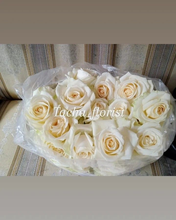 Bunga mawar tabur cimahi bdg, Perkebunan di Carousell