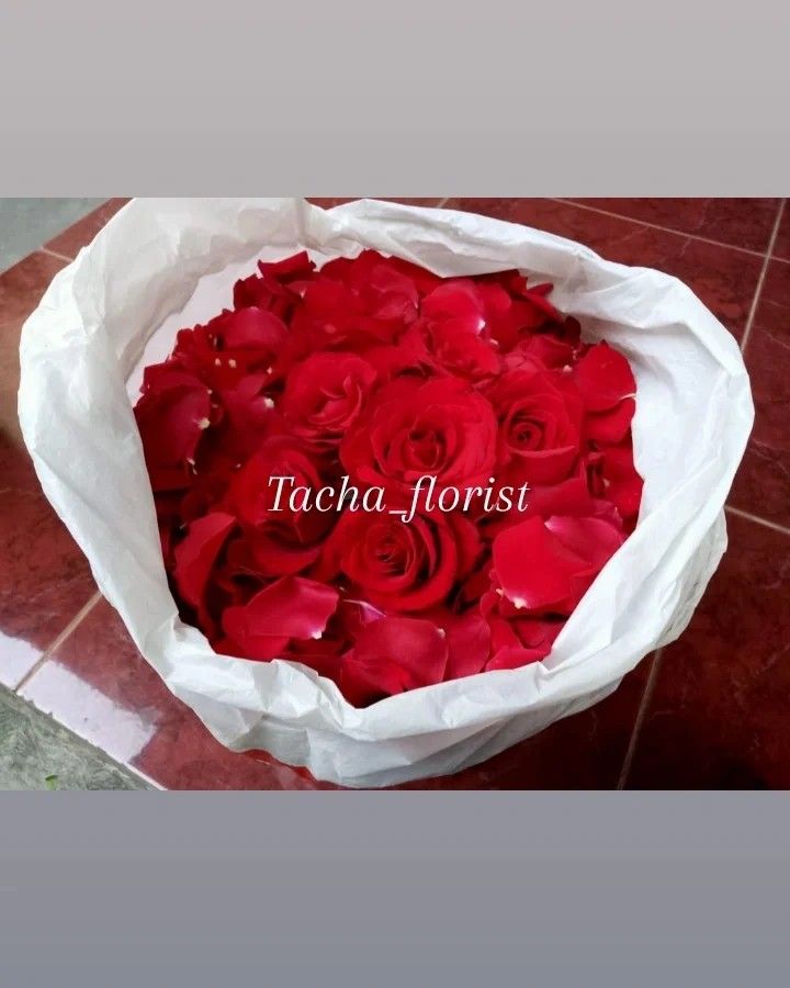 Bunga mawar tabur cimahi bdg, Perkebunan di Carousell