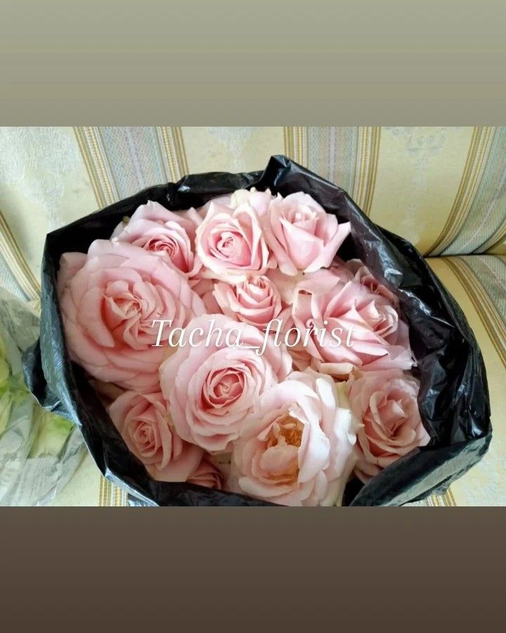 Bunga mawar tabur cimahi bdg, Perkebunan di Carousell