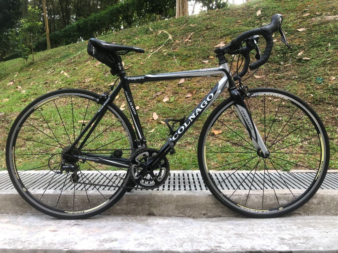 Colnago Primavera Road Bike (51S), Sports Equipment, Bicycles & Parts ...
