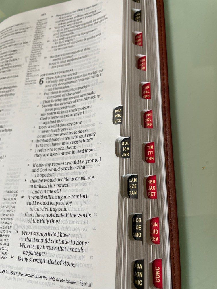 CSB Large Print Ultrathin Reference Bible, Thumb-Indexed, British Tan ...