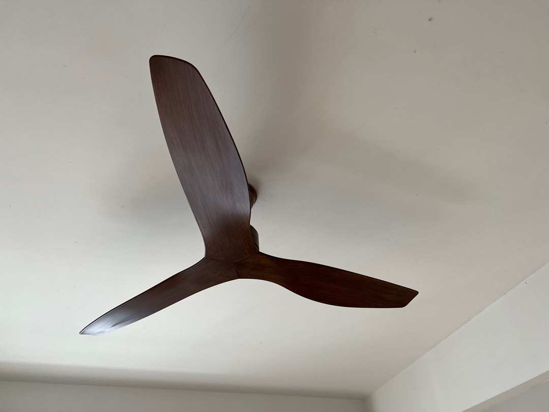 Fanco and Acorn Ceiling Fan, Furniture & Home Living, Lighting & Fans ...