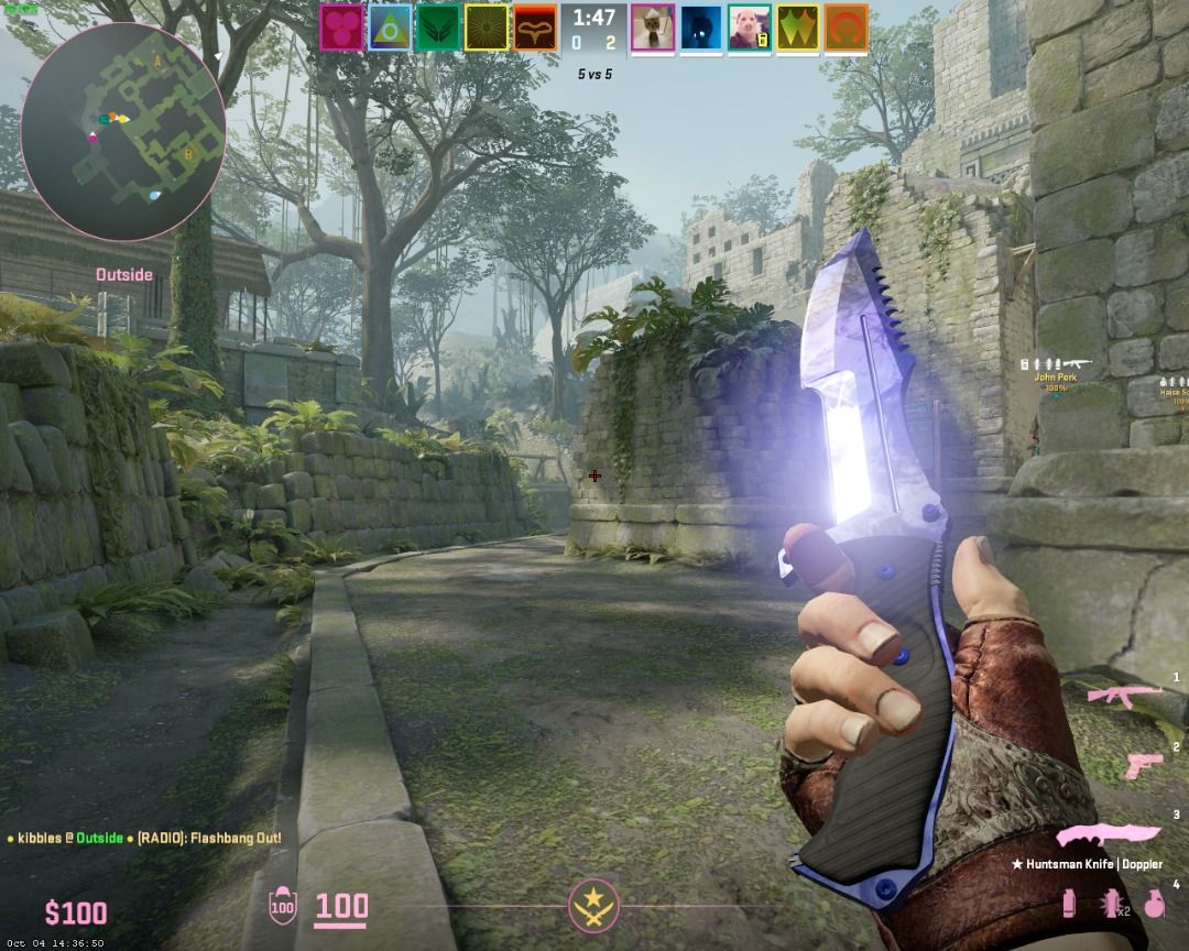 CSGO/ CS2 Huntsman Doppler (Phase 4), Video Gaming, Gaming Accessories ...