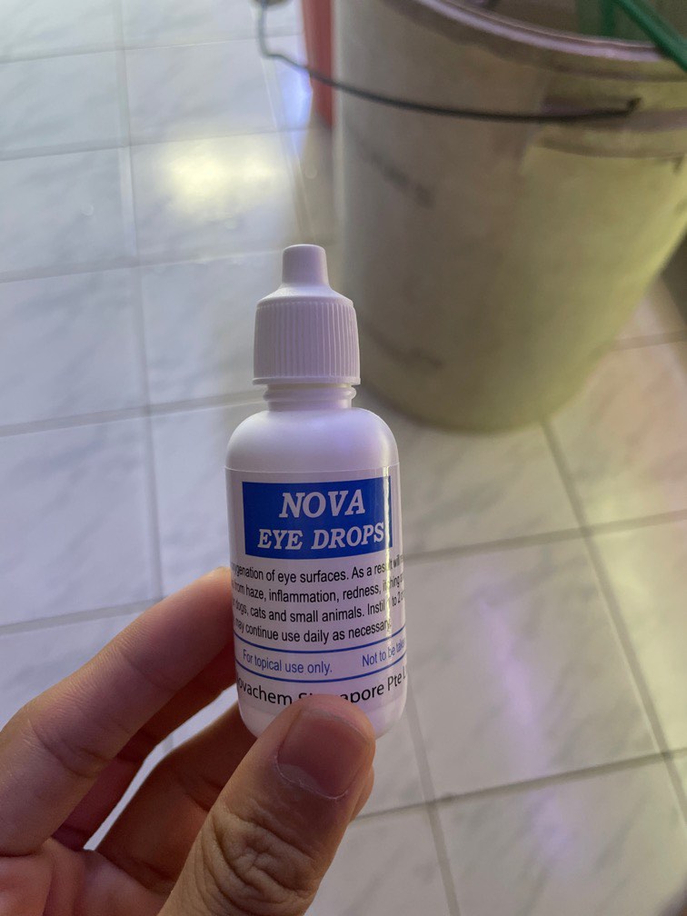 Nova Eye drops for hamster, Pet Supplies, Health & Grooming on Carousell