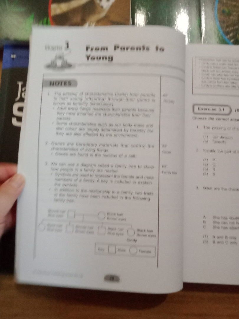 PSLE / Janet Sim's science UPPER BLOCK (5 books) by EPH, Hobbies & Toys ...