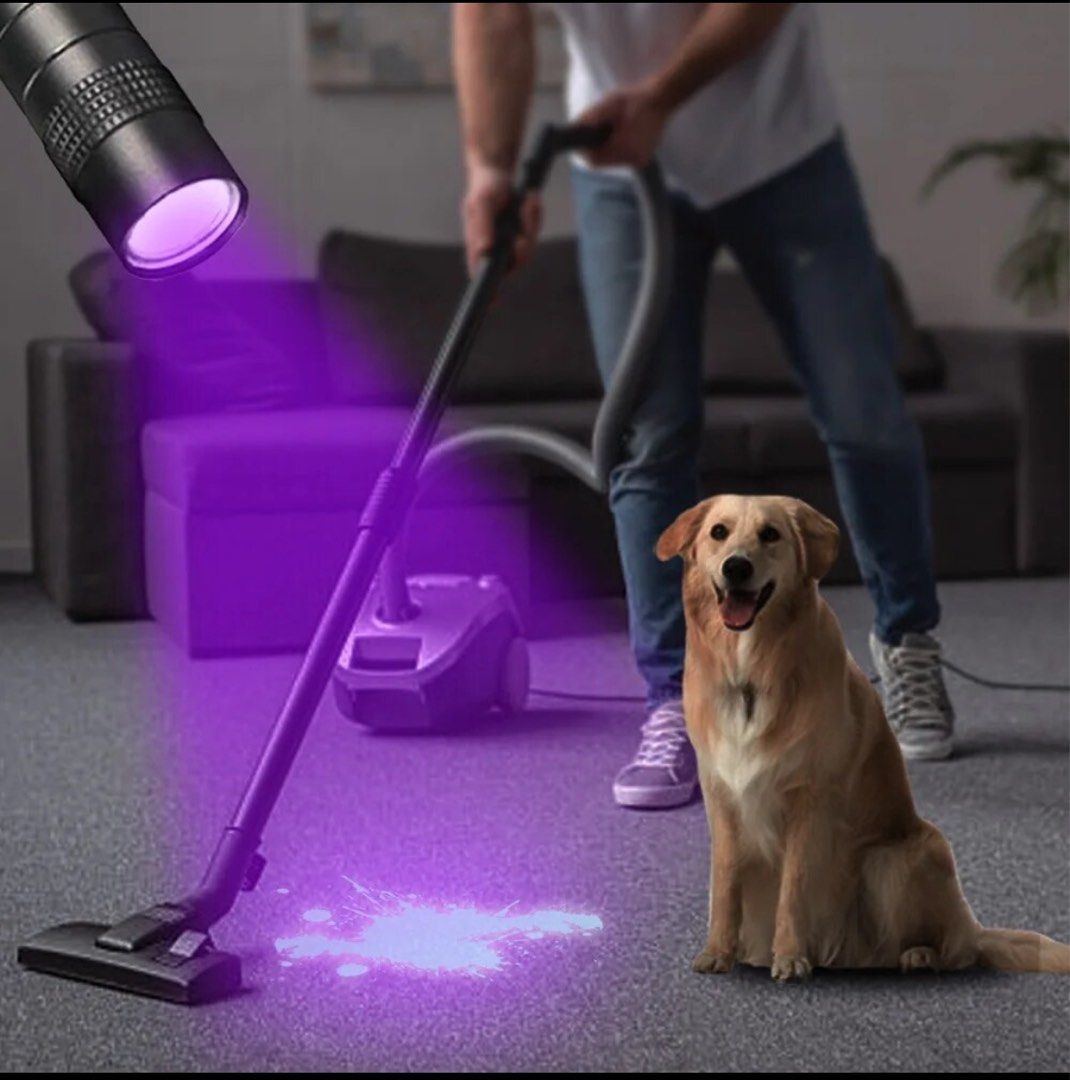 UV Black Light Flashlight, 395nm Mini LED Pen Light with Clip ...