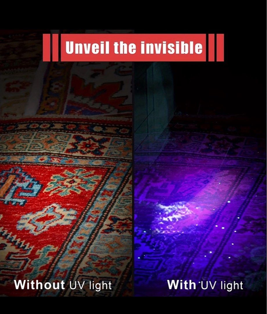 UV Black Light Flashlight, 395nm Mini LED Pen Light with Clip ...