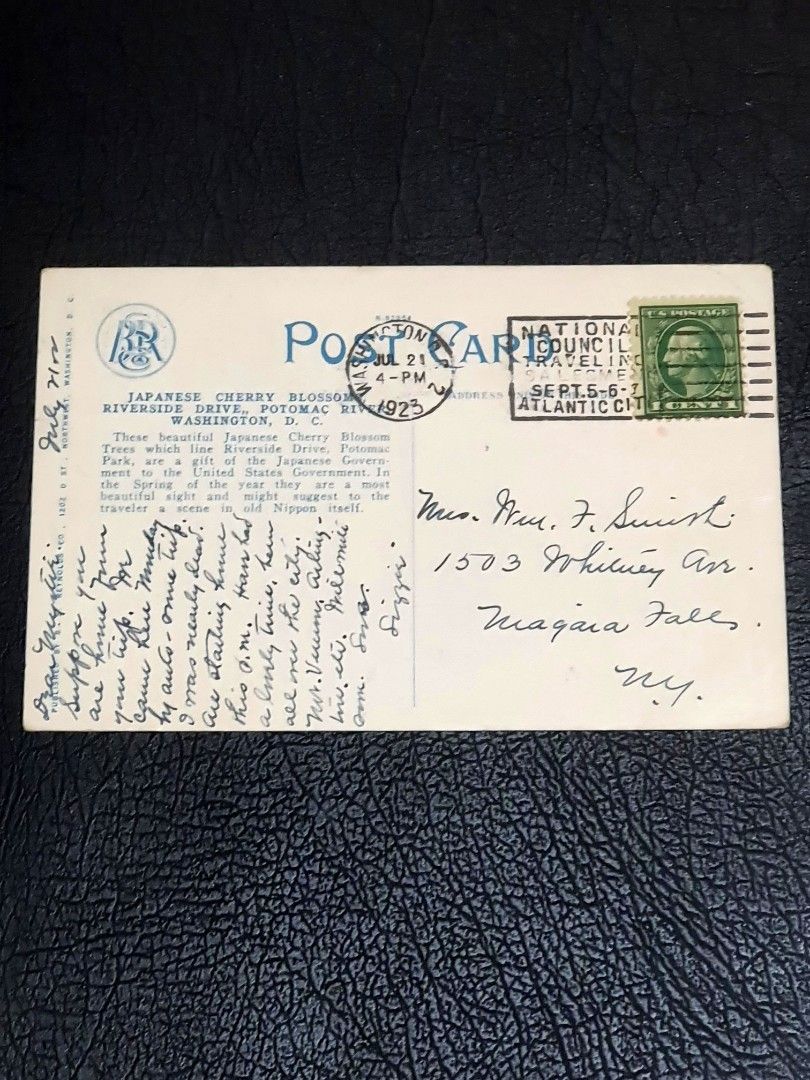 Vintage US 1923 Postcard: Japanese Cherry Blossoms, Riverside Drive ...