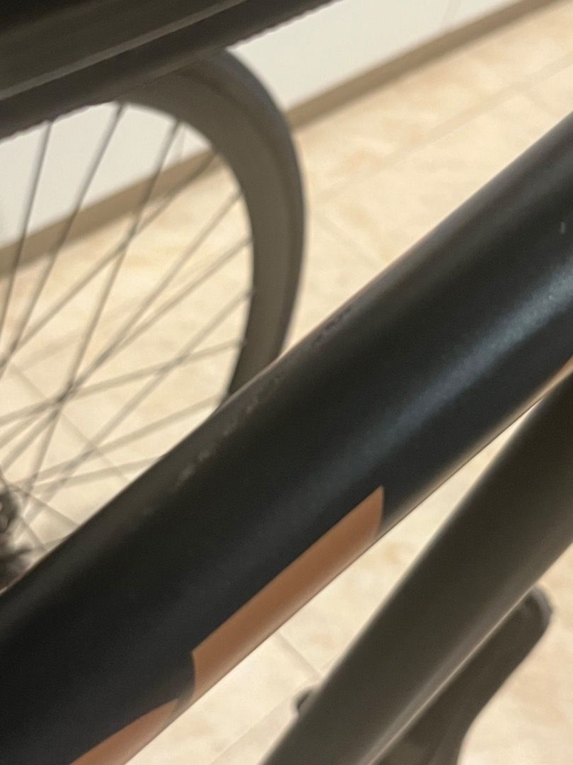 WASP FRAMESET | WTT WTS FIXIE FRAME FIXED, Sports Equipment, Bicycles ...