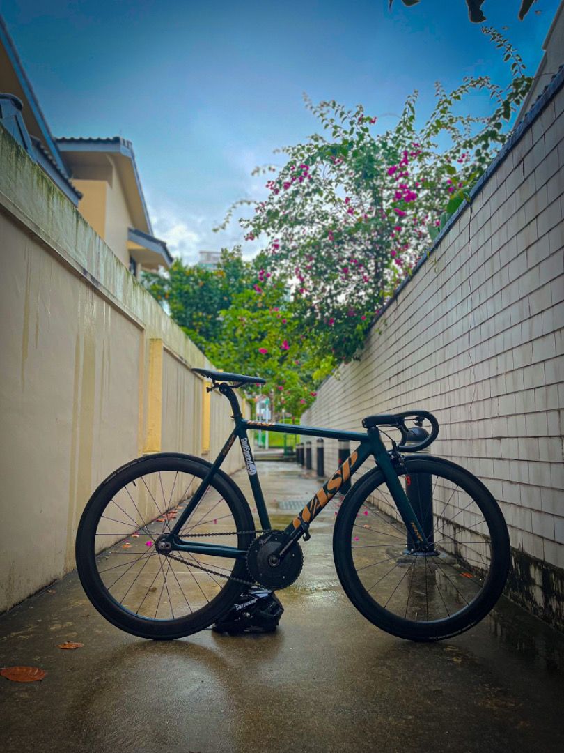 WASP FRAMESET | WTT WTS FIXIE FRAME FIXED, Sports Equipment, Bicycles ...