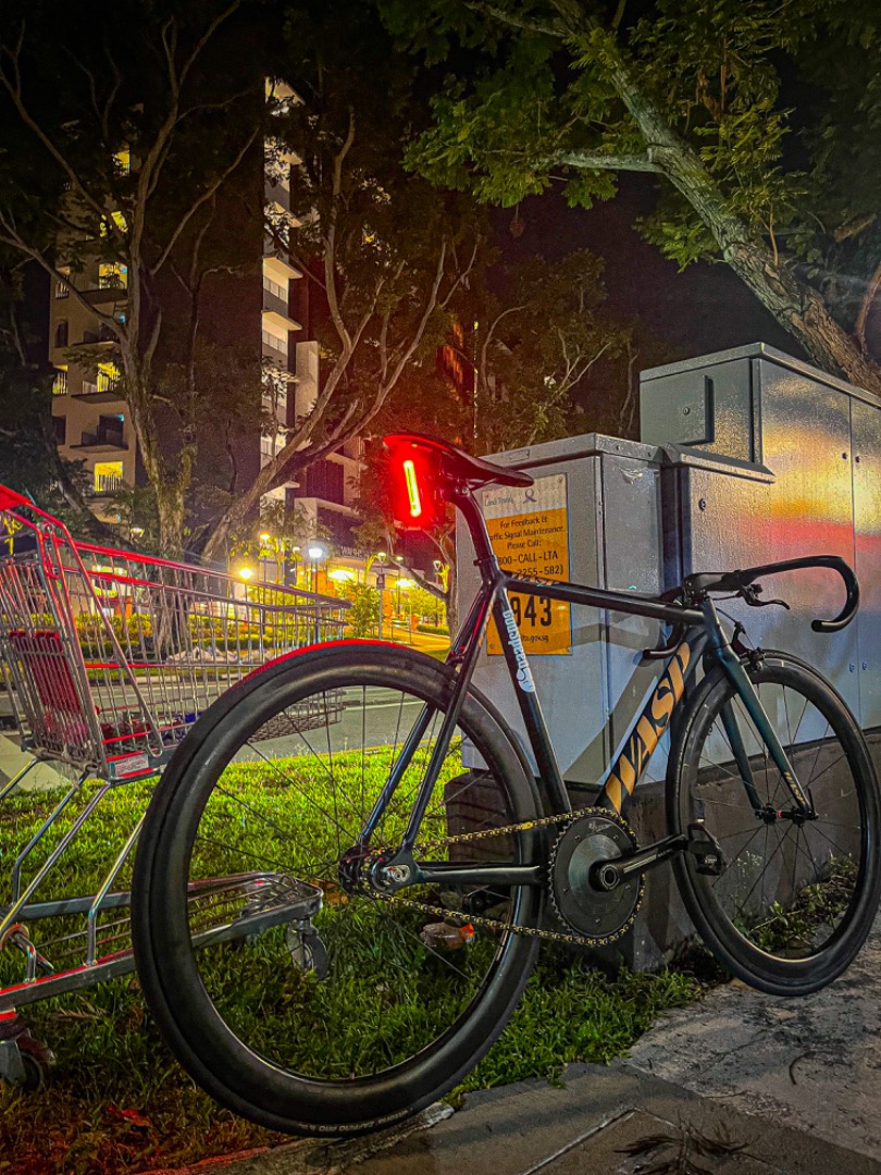 WASP FRAMESET | WTT WTS FIXIE FRAME FIXED, Sports Equipment, Bicycles ...