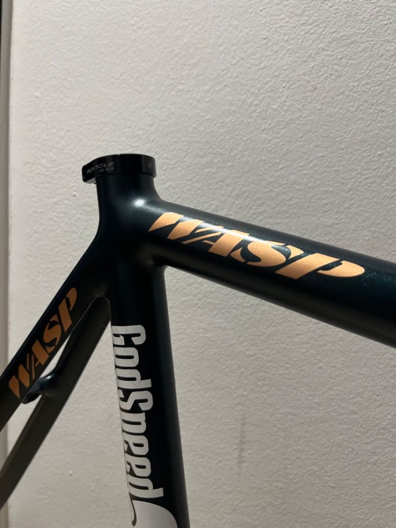 WASP FRAMESET | WTT WTS FIXIE FRAME FIXED, Sports Equipment, Bicycles ...