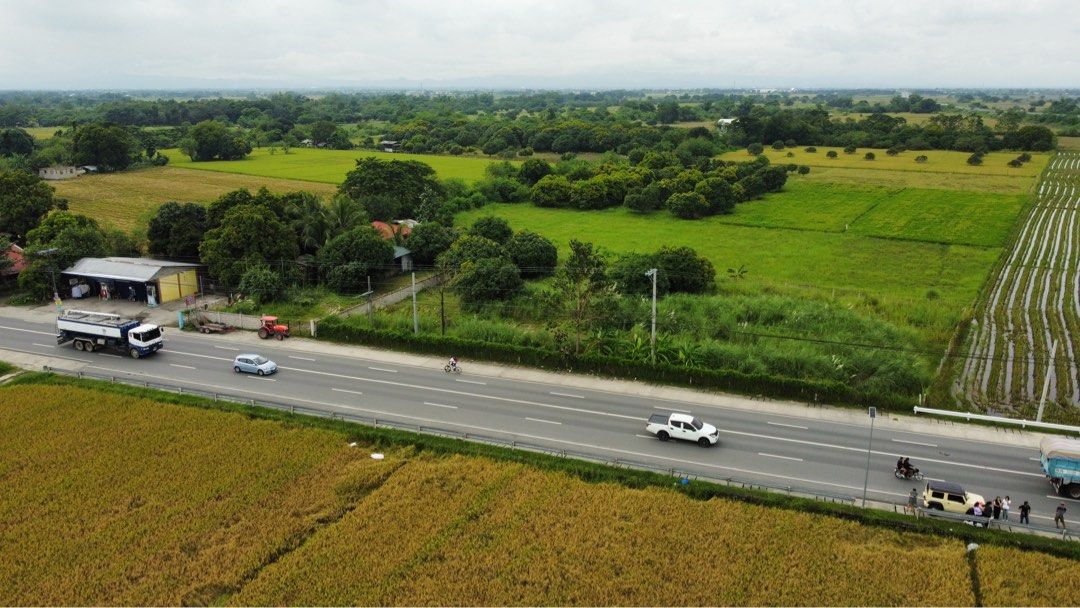 50 Hectares for sale in La Paz Tarlac, Property, For Sale, Commercial ...