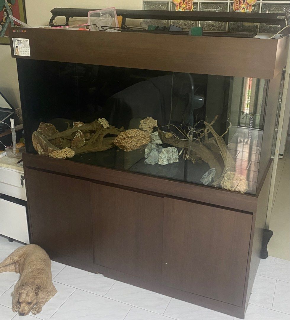 5ft fish tank with cabinet and inbuilt filter beneath, Pet Supplies ...