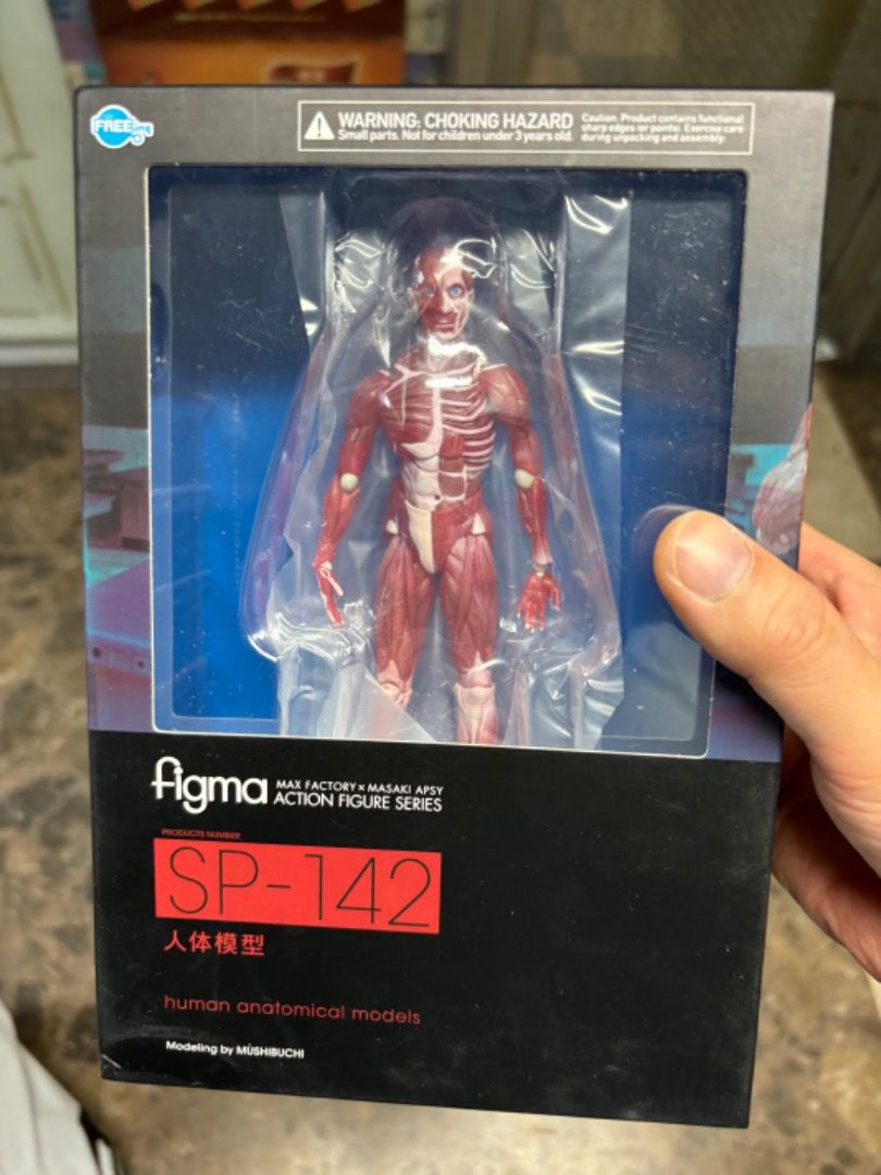 有貨不用問 GSC FREEing figma SP-142 人體模型 Human Anatomical Model SP 142 SP142 ...