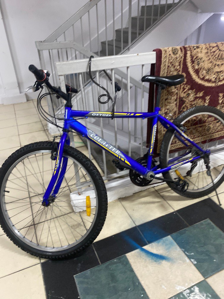 chapalang bicycle, Sports Equipment, Bicycles & Parts, Bicycles on ...