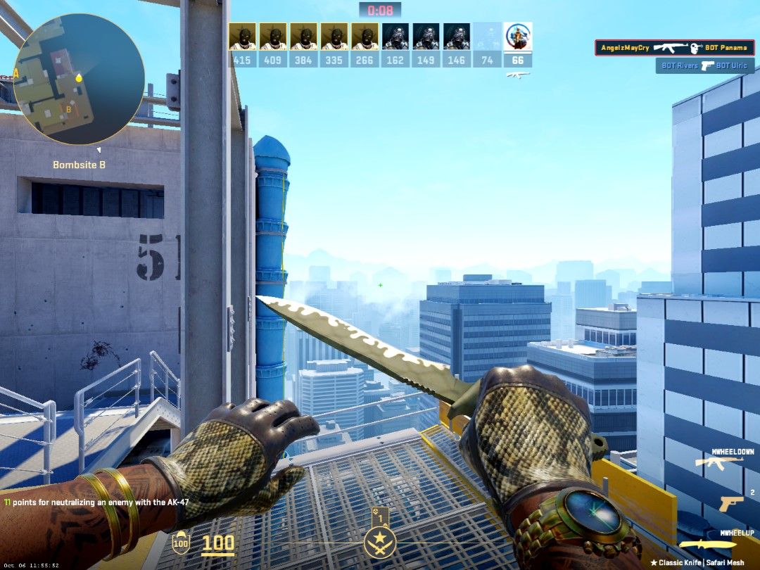 CS2 Driver Gloves Diamondback (Field Tested) No Scratches on knuckle ...