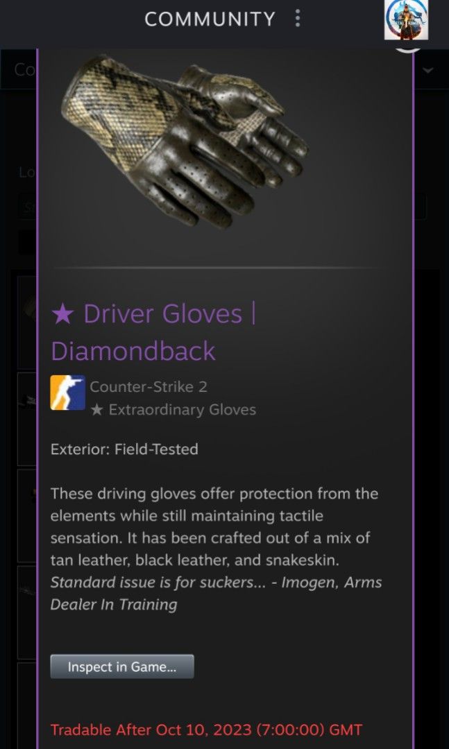 CS2 Driver Gloves Diamondback (Field Tested) No Scratches on knuckle ...