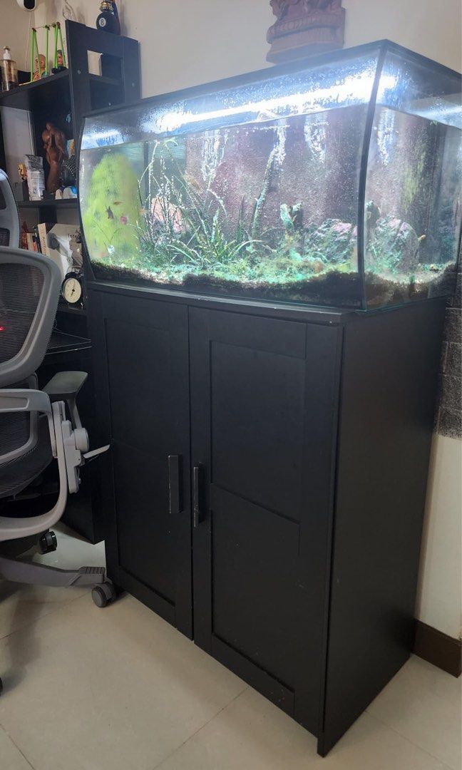 Fish Tank with complementary items to upgrade(with Co2 generator system ...