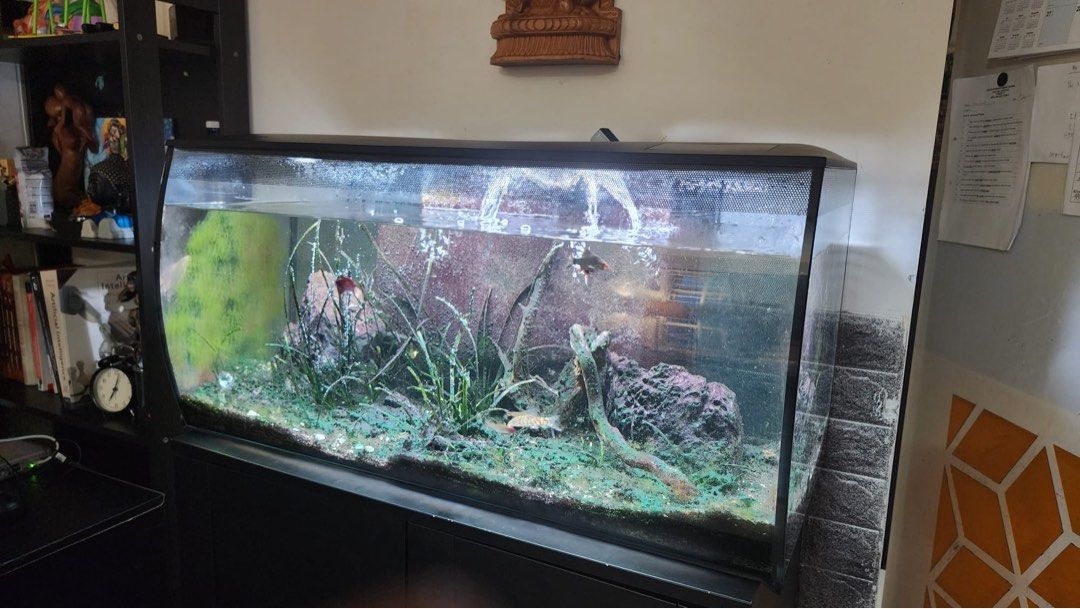 Fish Tank with complementary items to upgrade(with Co2 generator system ...