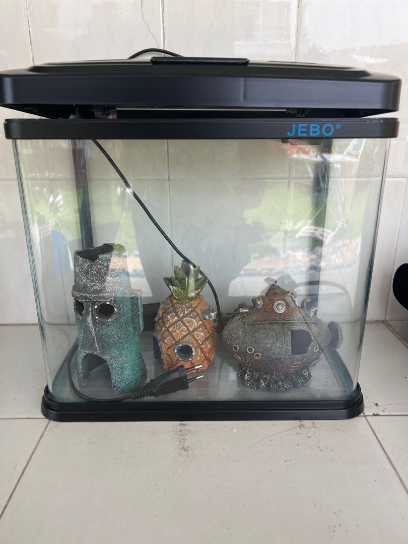 JEBO aquarium, Pet Supplies, Homes & Other Pet Accessories on Carousell