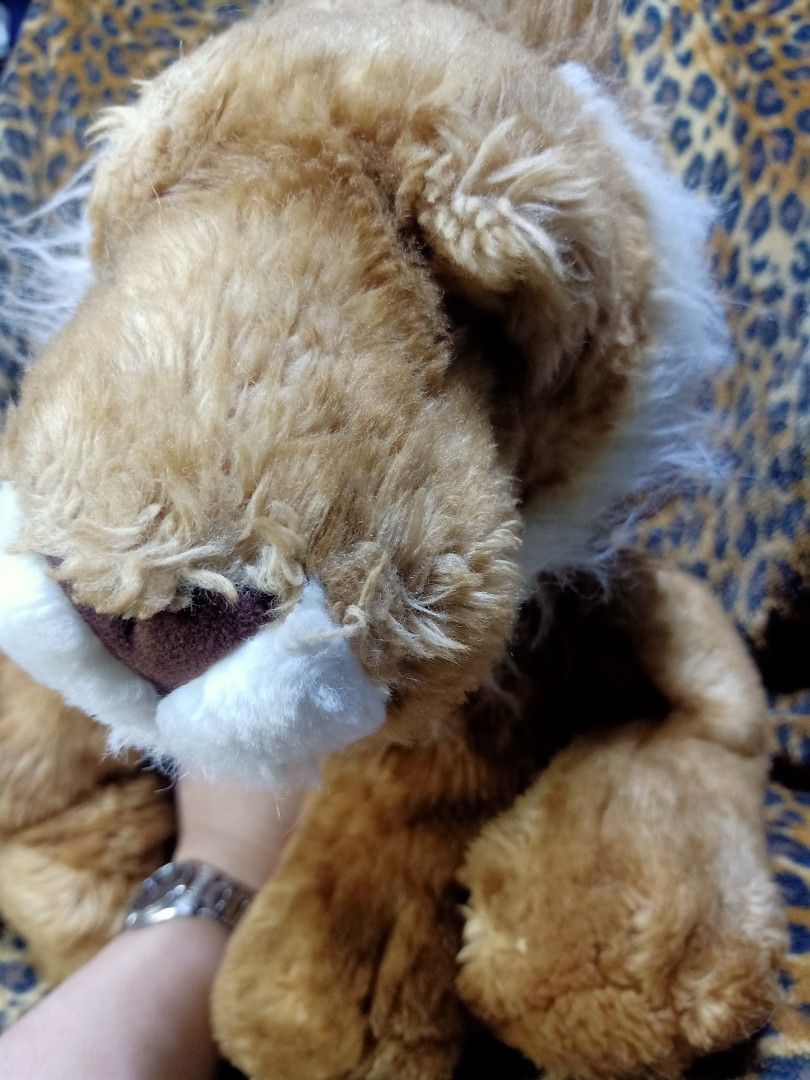 JUMBO SIZE KEEL TOYS REALISTIC LION SIMPLY SOFT COLLECTION PLUSH ...