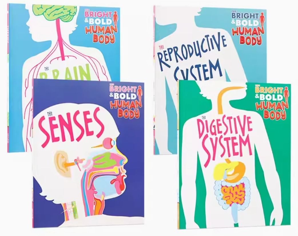 Original The Bright & Bold Human Body (4 Books), Hobbies & Toys, Books ...