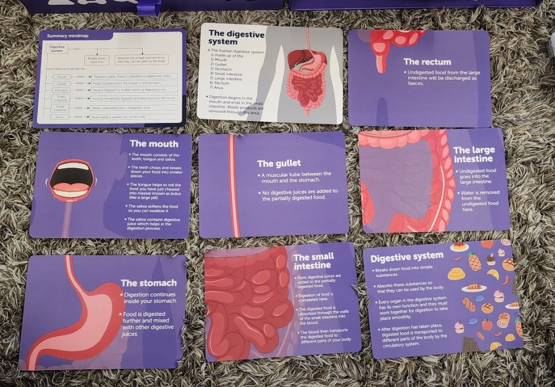 P3 and P5 Science notes, magnet kit and circuit kit, Hobbies & Toys ...