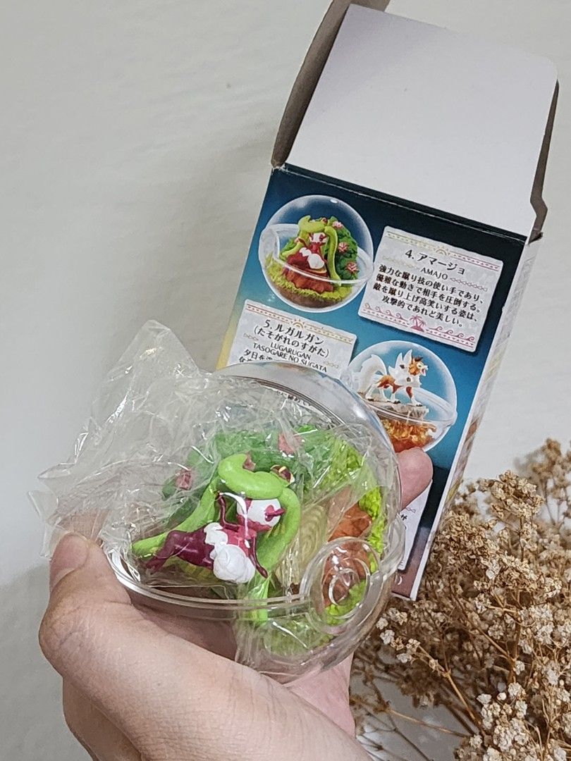 Pokemon Terrarium Collection EX Alola 2, Hobbies & Toys, Toys & Games ...
