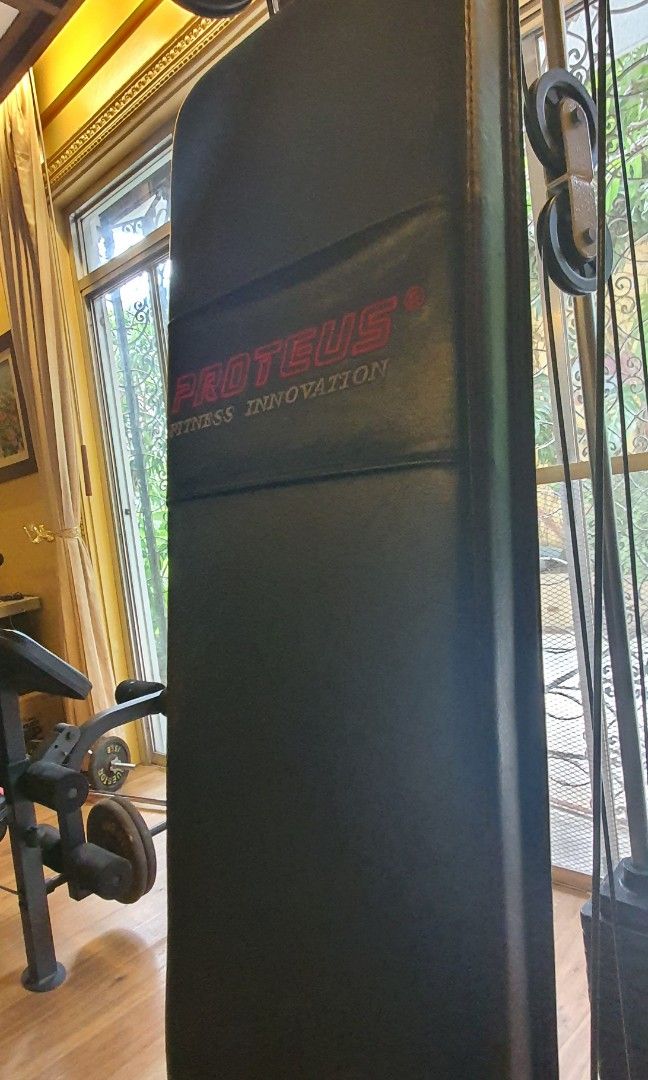 Proteus Exercise & Fitness Machine, Sports Equipment, Exercise ...