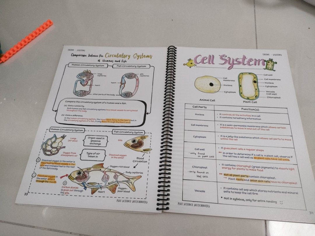 PSLE science sketchnotes, Hobbies & Toys, Books & Magazines, Textbooks ...